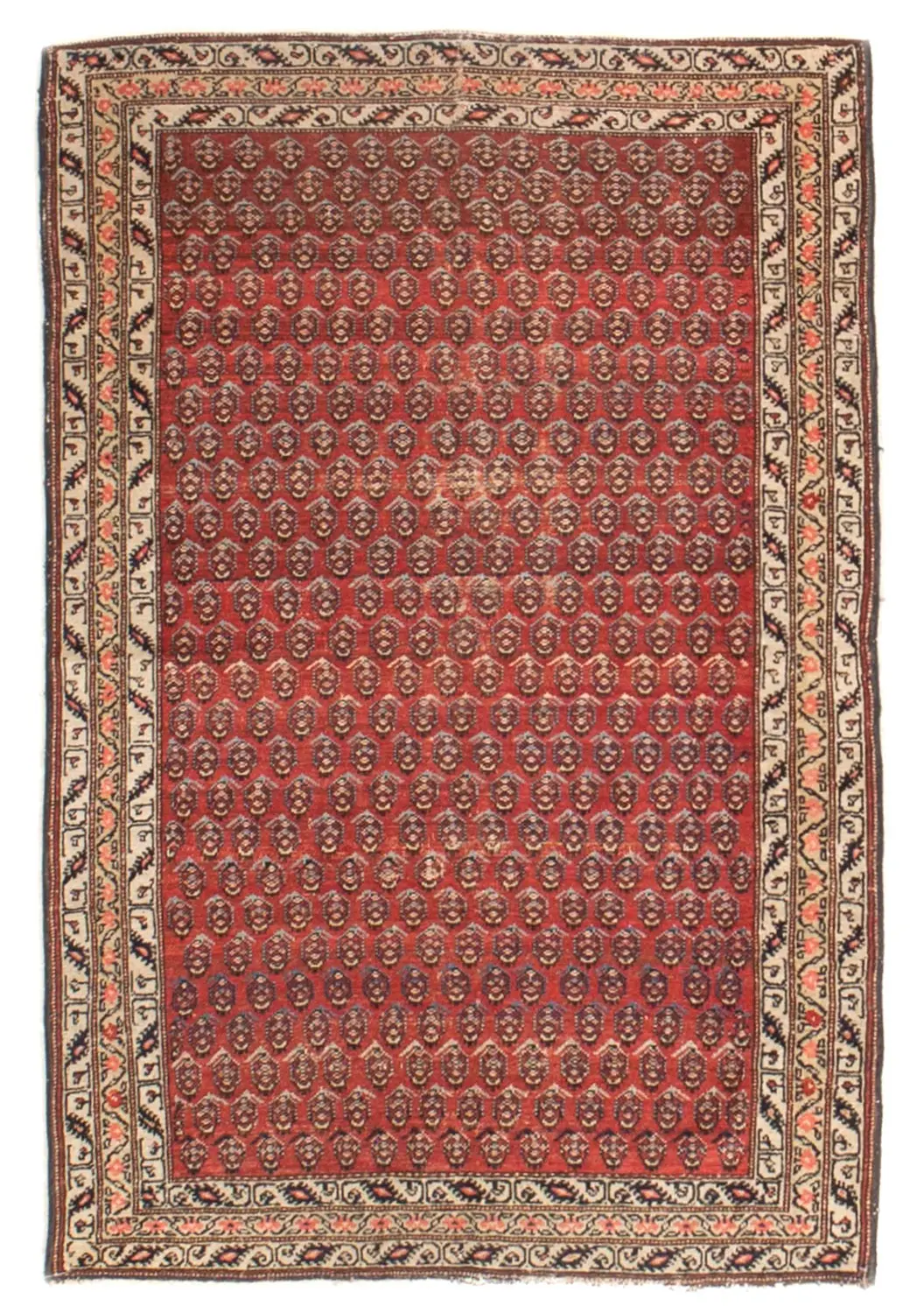 Saraban / 14513 / saraban / 14513, sarab | WOVEN
