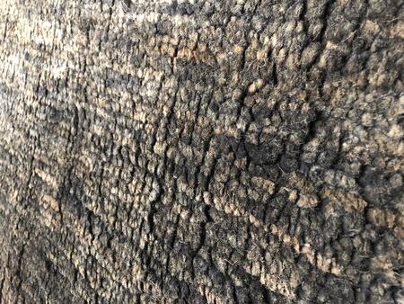 Naziri / 13701 / modern abrash / 13701, solids and textures | WOVEN